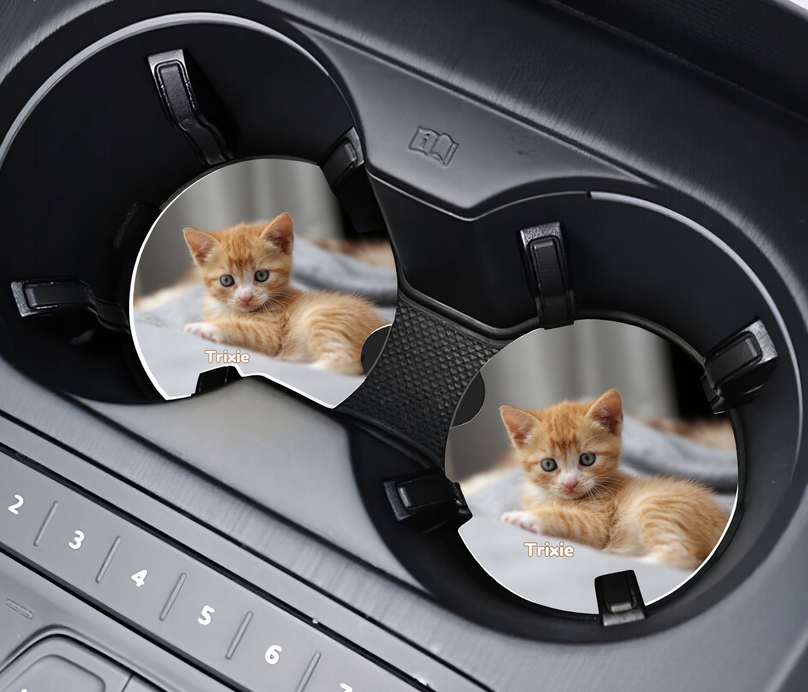 Car Coasters With YOUR Cat's Name & Photo, Absorbent Cat Car Coasters ...