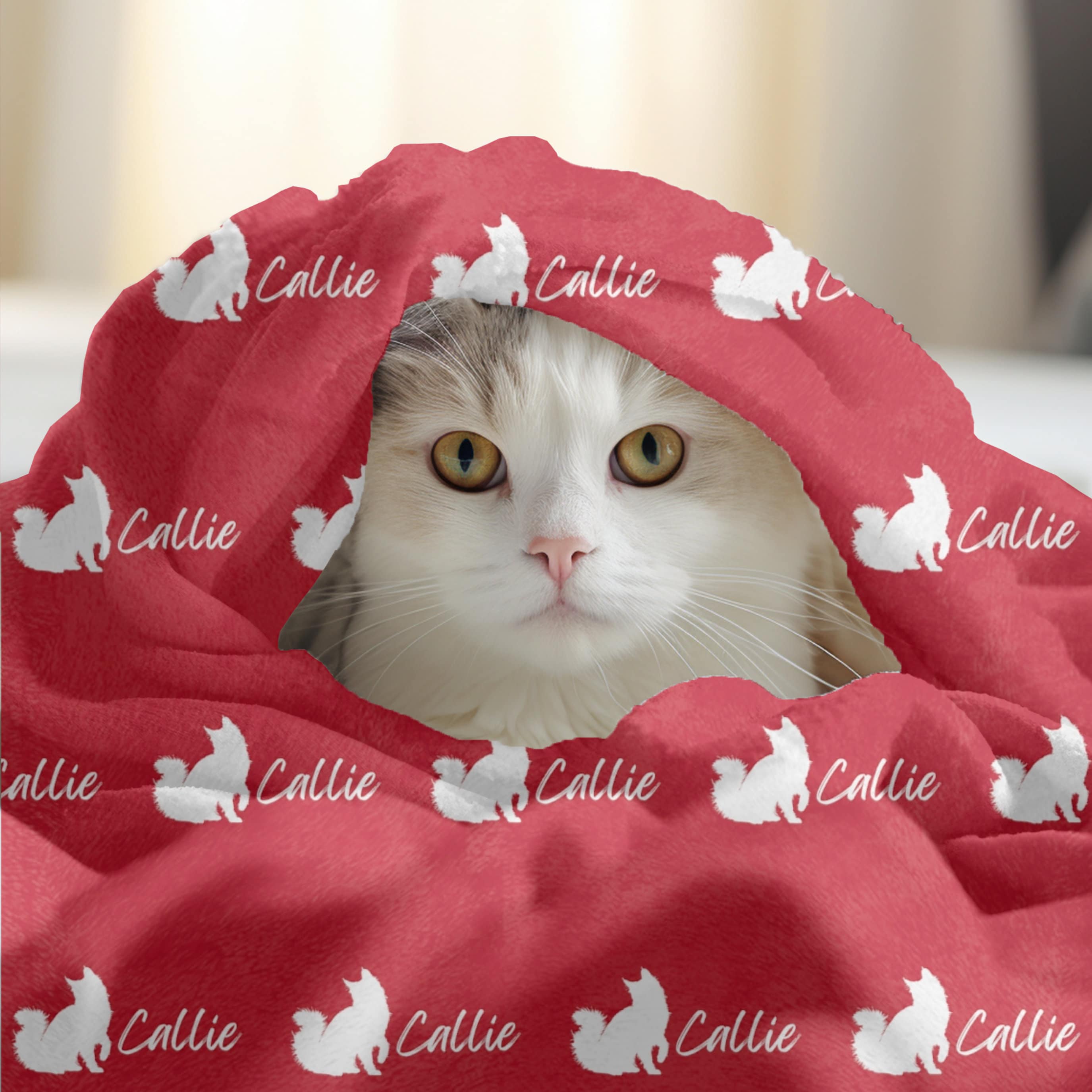 Custom Cat Name Blanket, Cat Silhouette Blanket, New Kitten Gift ...