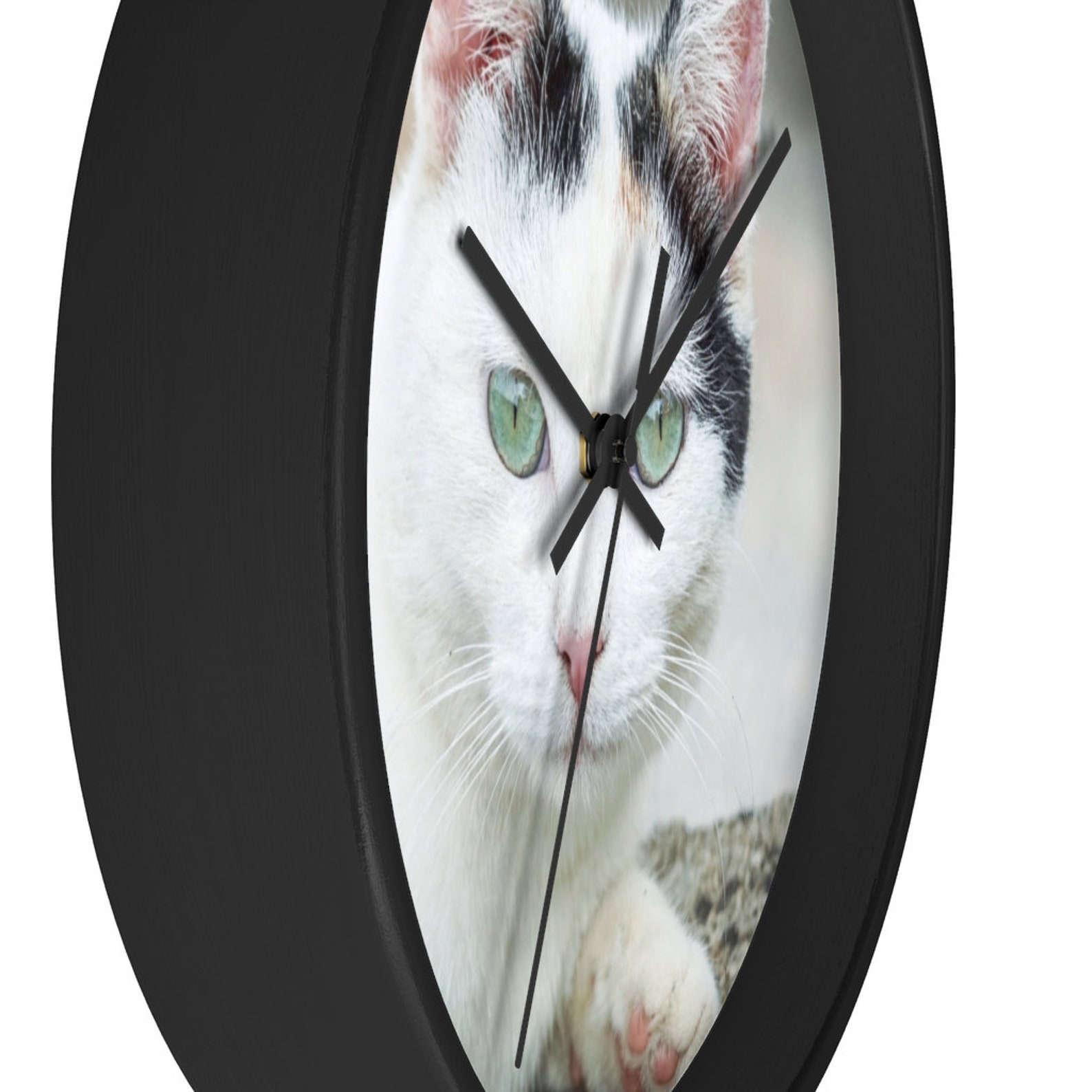 Pet Photo Clock Custom Wall Clock PERSONALIZED 10-inch - Etsy