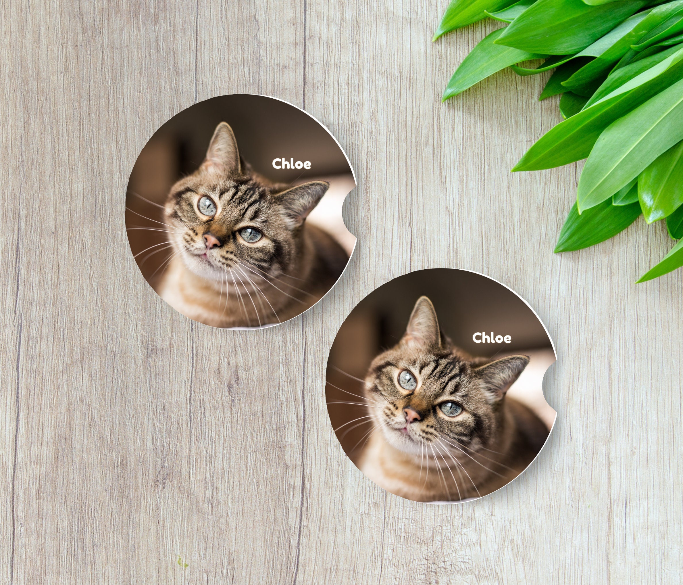 Car Coasters With YOUR Cat's Name & Photo, Absorbent Cat Car Coasters ...
