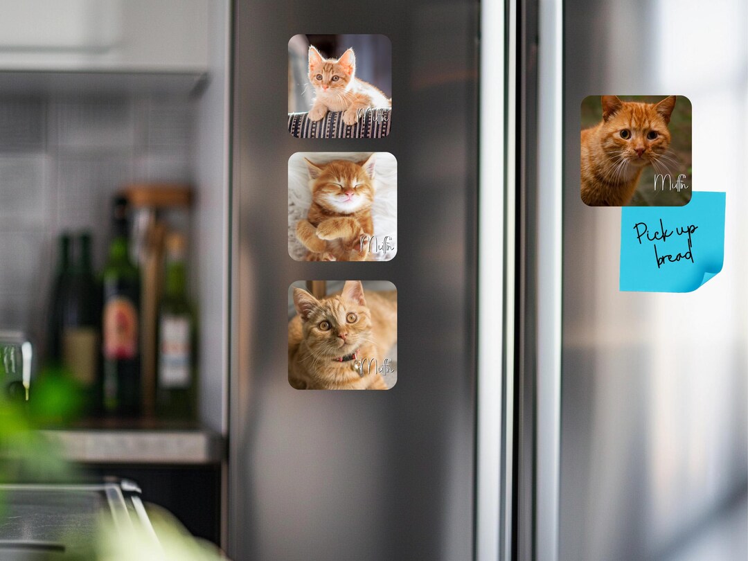 Custom Cat Photo Magnets, Fridge Decal, Personalized Pet Fridge Magnets ...