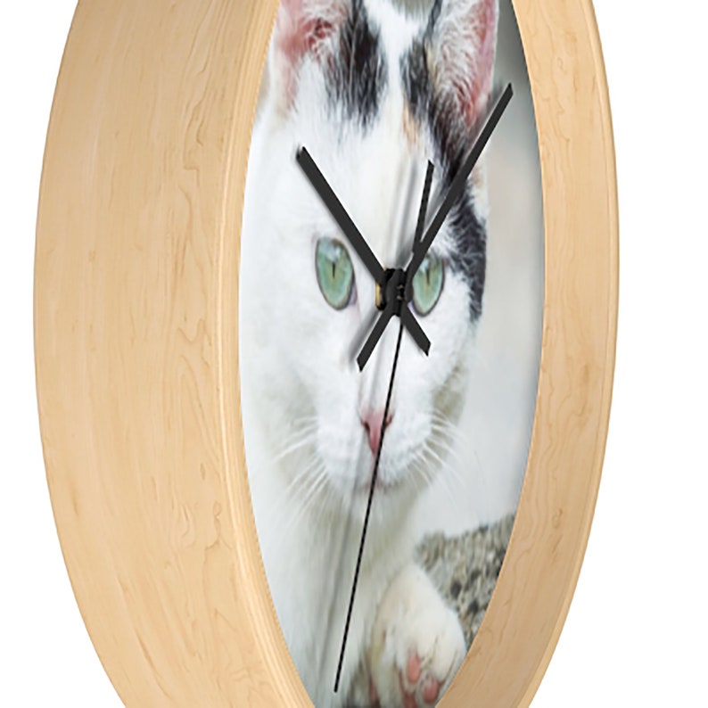 Pet Photo Clock Custom Wall Clock PERSONALIZED 10-inch - Etsy