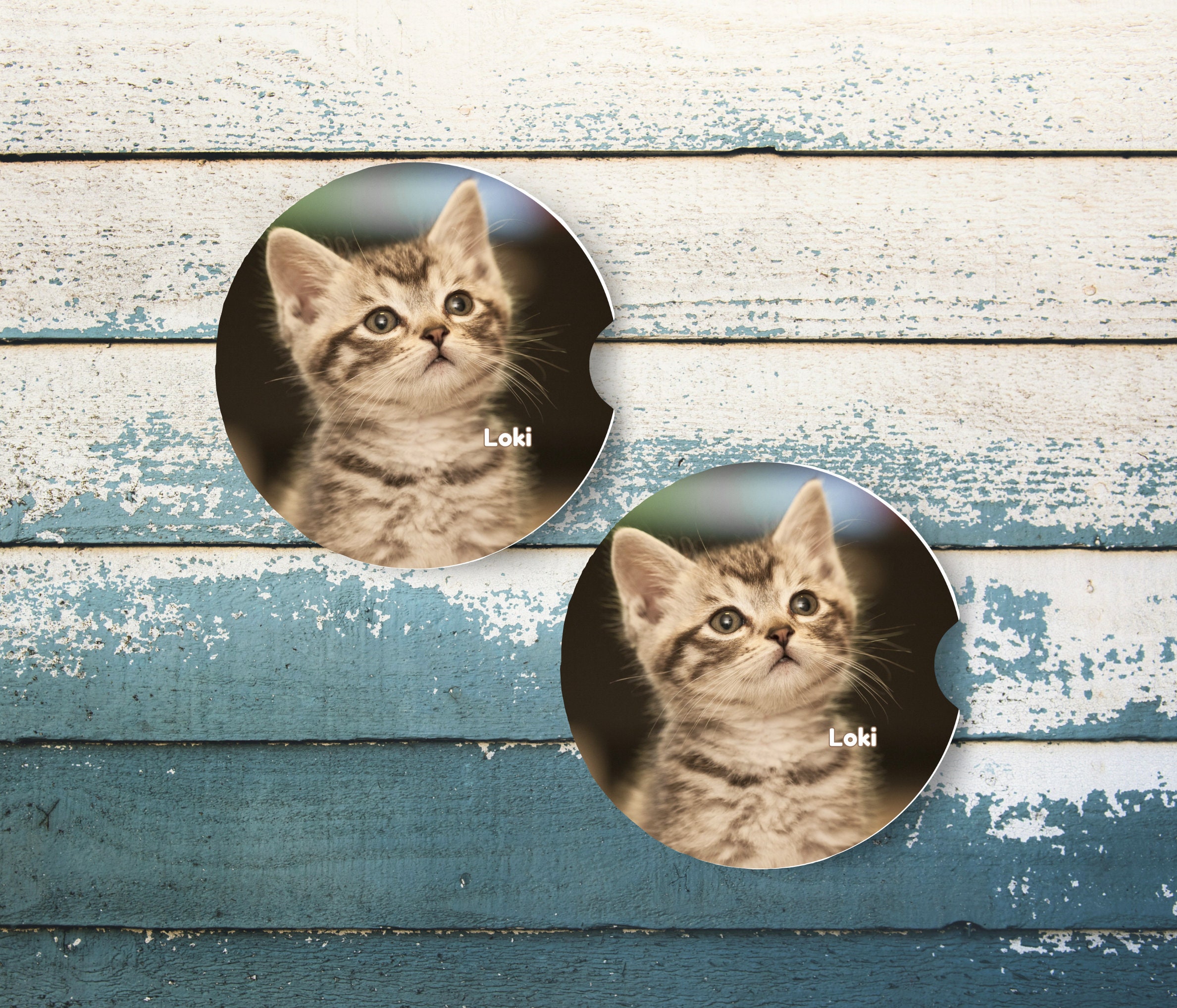 Car Coasters With YOUR Cat's Name & Photo, Absorbent Cat Car Coasters ...