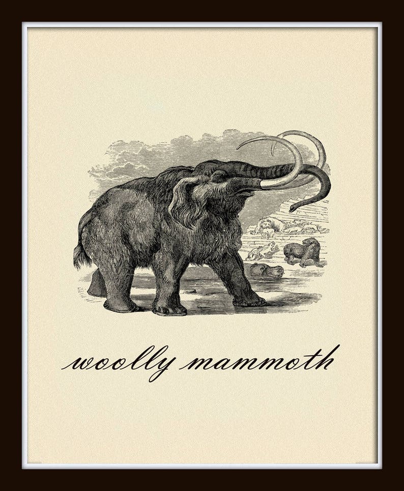 Vintage Woolly Mammoth Poster, Woolly Mammoth Art, Animal Print, Animal ...