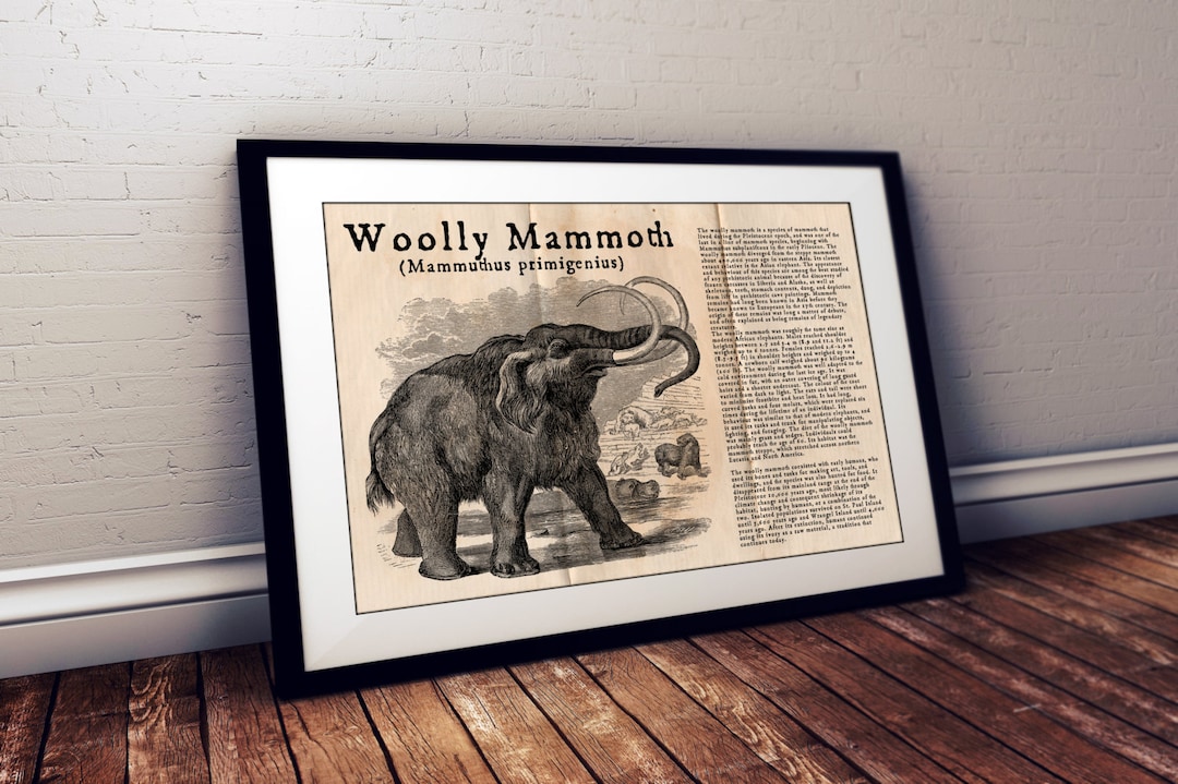 Woolly Mammoth Museum Poster, Woolly Mammoth Print Animal Print Animal ...