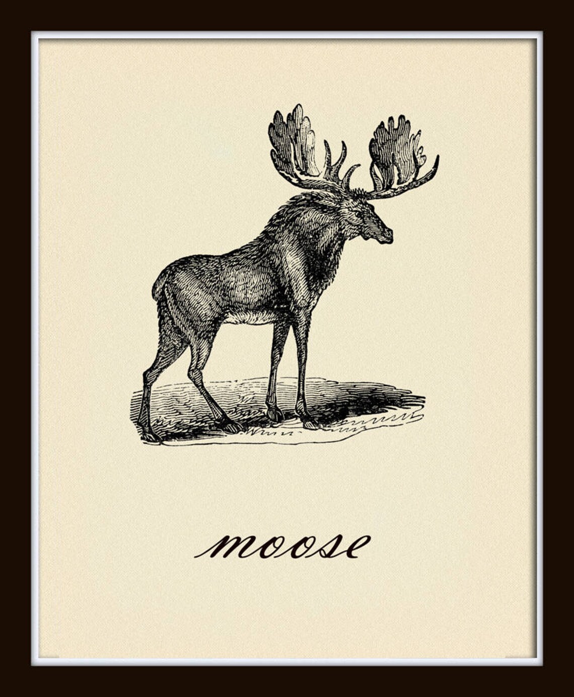 Vintage Moose Poster, Moose Art, Animal Print, Animal Lover Gift ...