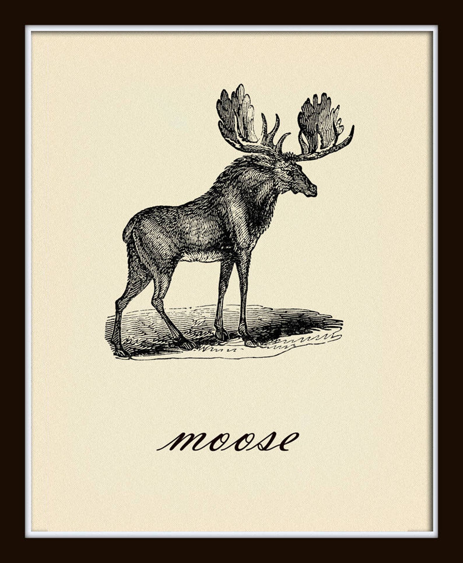 Vintage Moose Poster, Moose Art, Animal Print, Animal Lover Gift ...