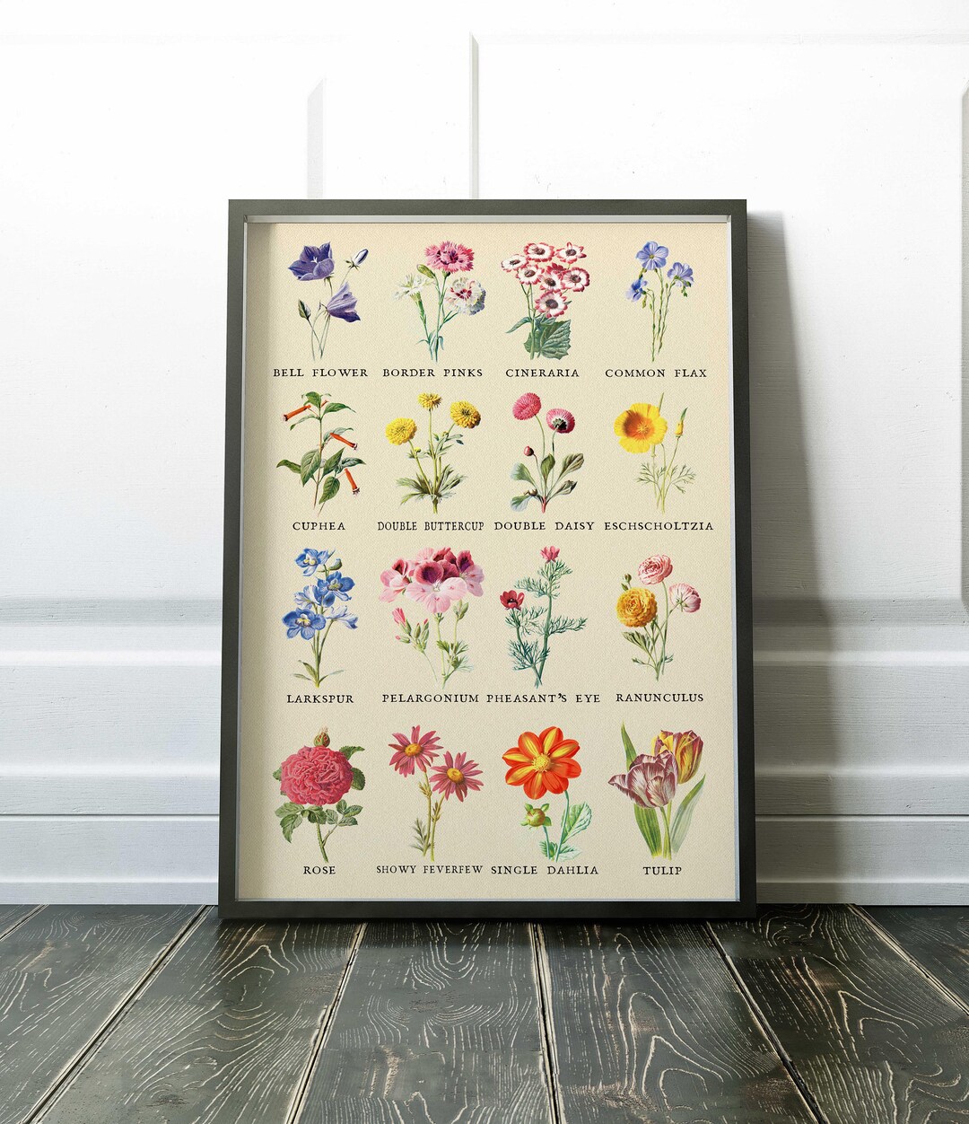 BOTANICAL PRINT, Vitange flower poster, Flower Art Print, Antique ...