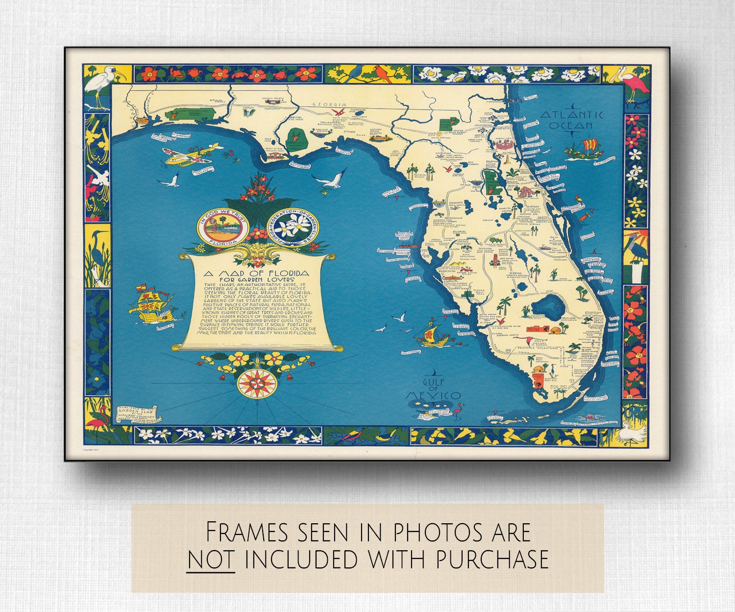 Vintage Florida Flower Map Showing Plants and Bird Species | Etsy