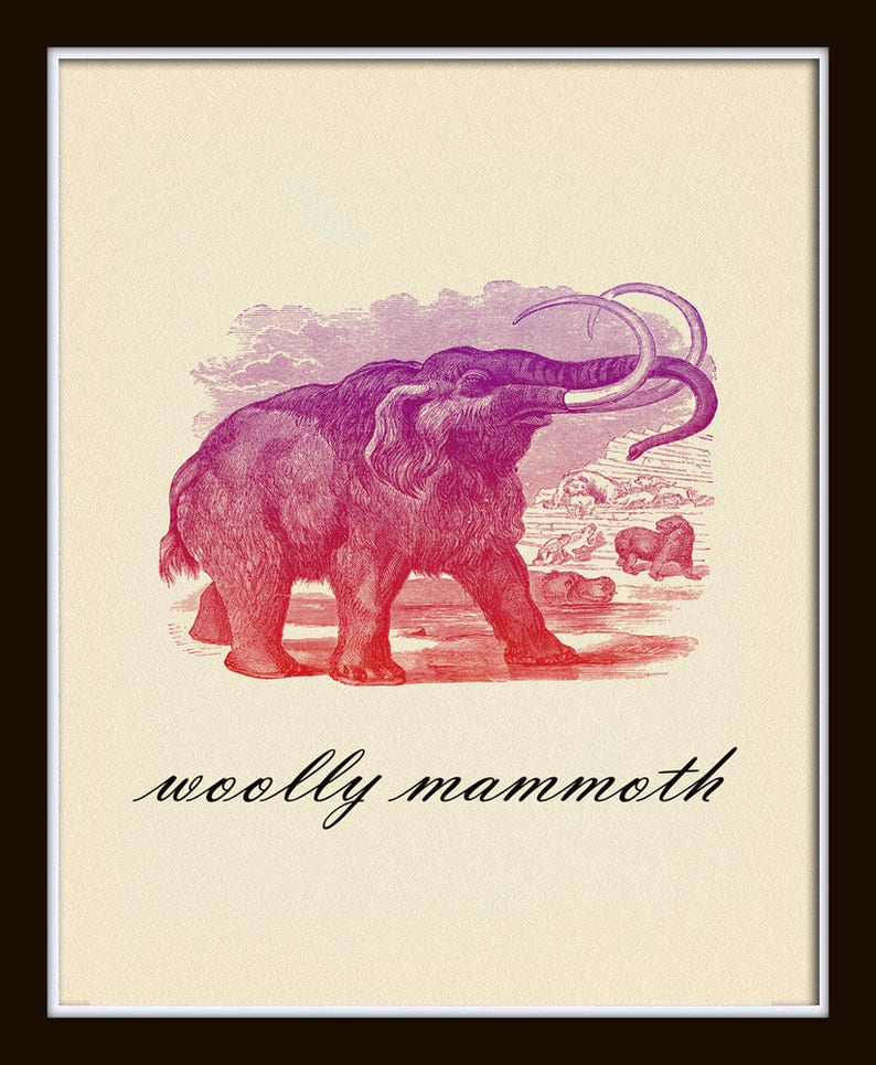 Vintage Woolly Mammoth Poster, Woolly Mammoth Art, Animal Print, Animal ...