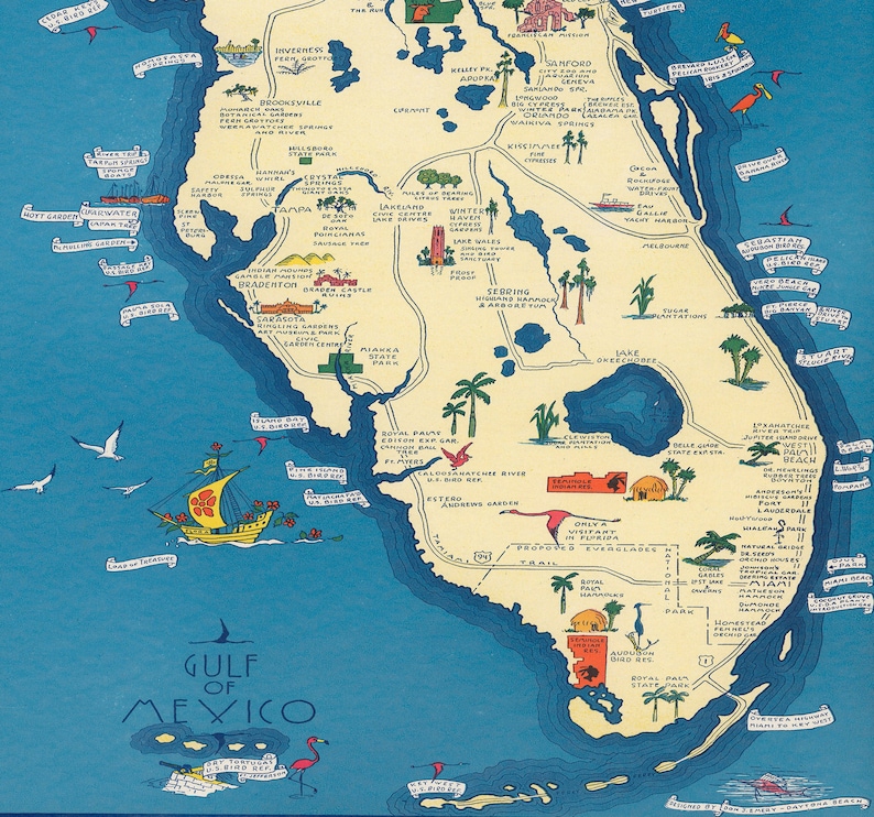 Vintage Florida Flower Map Showing Plants and Bird Species - Etsy