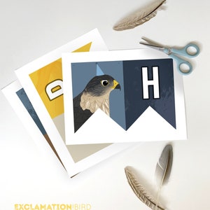 Falcon Happy Birthday Banner, Falcon Birthday Party, Falcon Party ...