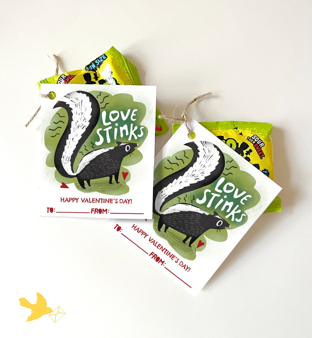 Funny Valentine Kids Classroom, Love Stinks Valentine, Valentine Boys ...