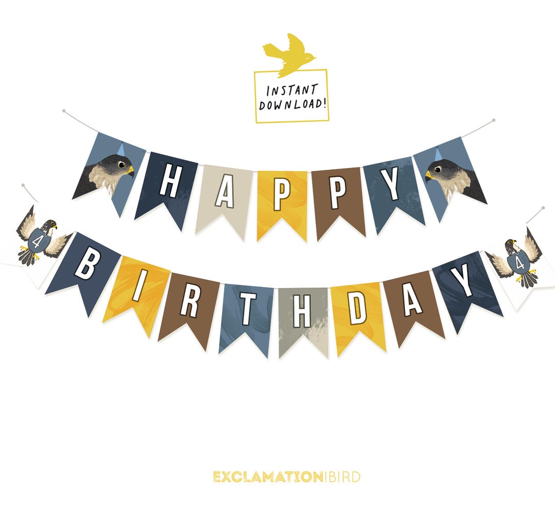 Falcon Happy Birthday Banner, Falcon Birthday Party, Falcon Party ...