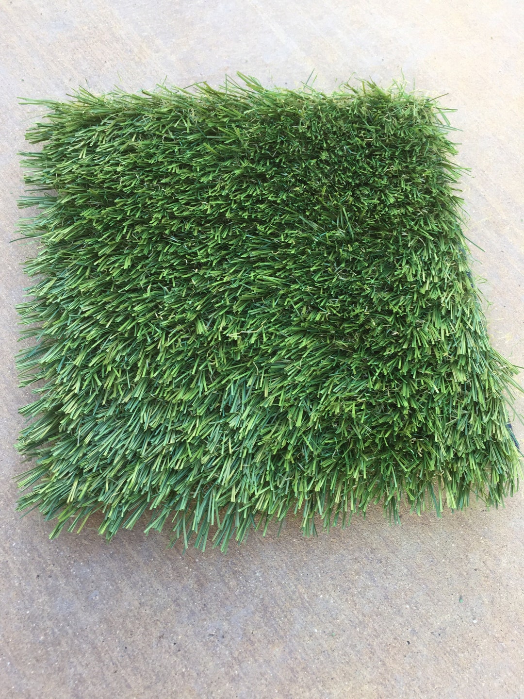 6 Inch X 6 Inch Grass Swatch - Etsy