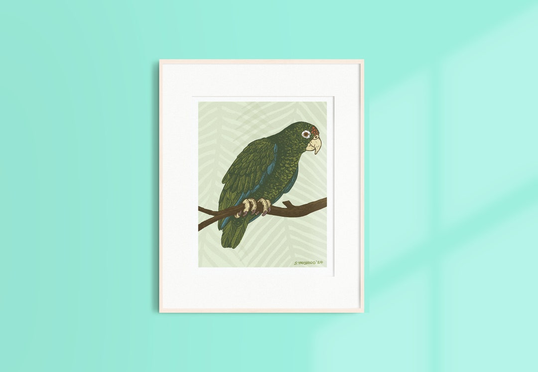 Cotorra Puertorriqueña, Puerto Rico Art Print, Limited Edition - Etsy