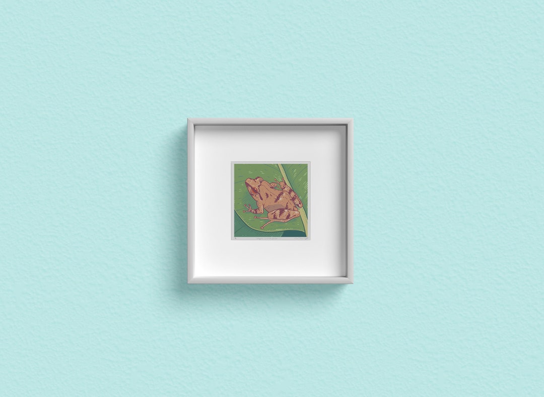 Coquies De Puerto Rico - Coquí Churí, Unframed Art Print, Limited ...
