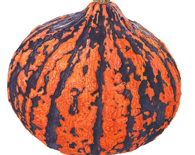 Red Kuri Squash Print, Vegetable Painting, Barn Home Decor, Original ...
