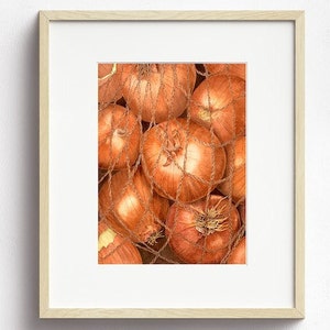 Onions Botanical Vegetable Art Print Basket of Onions Watercolor Fine ...
