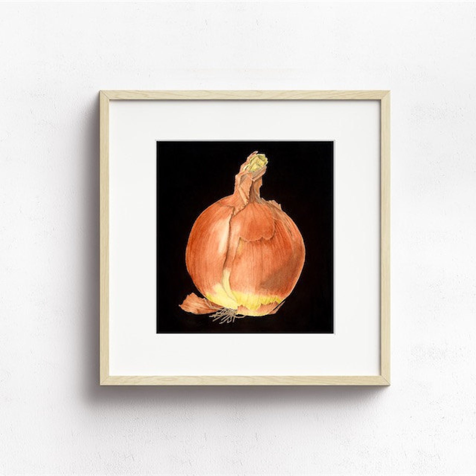 Yellow Onion Botanical Vegetable Art Print Yellow Onion Botanical ...