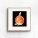 Yellow Onion Botanical Vegetable Art Print Yellow Onion Botanical ...