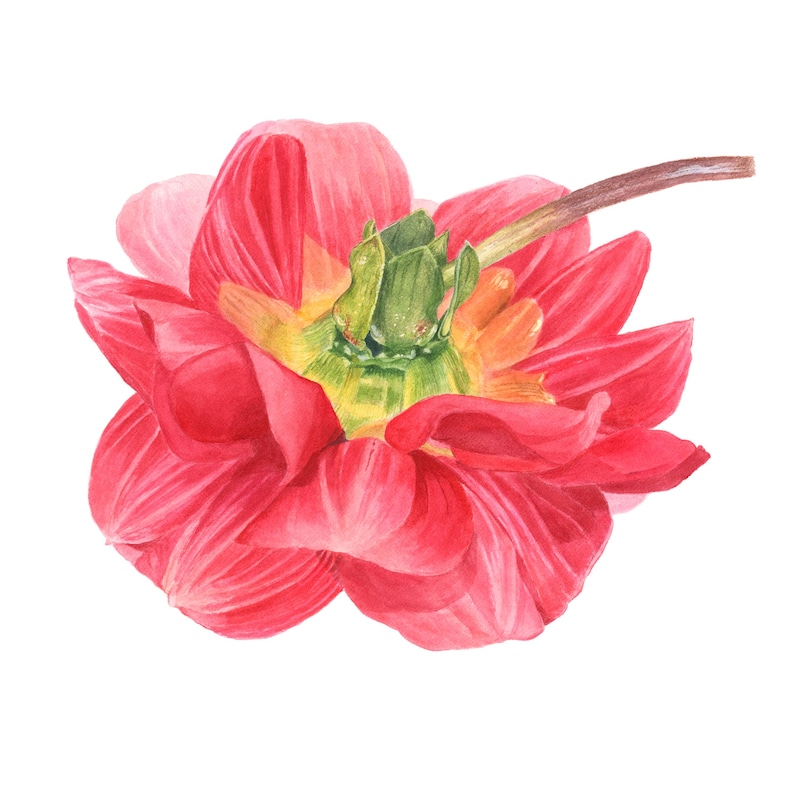 SallyJacobsStudio - Etsy