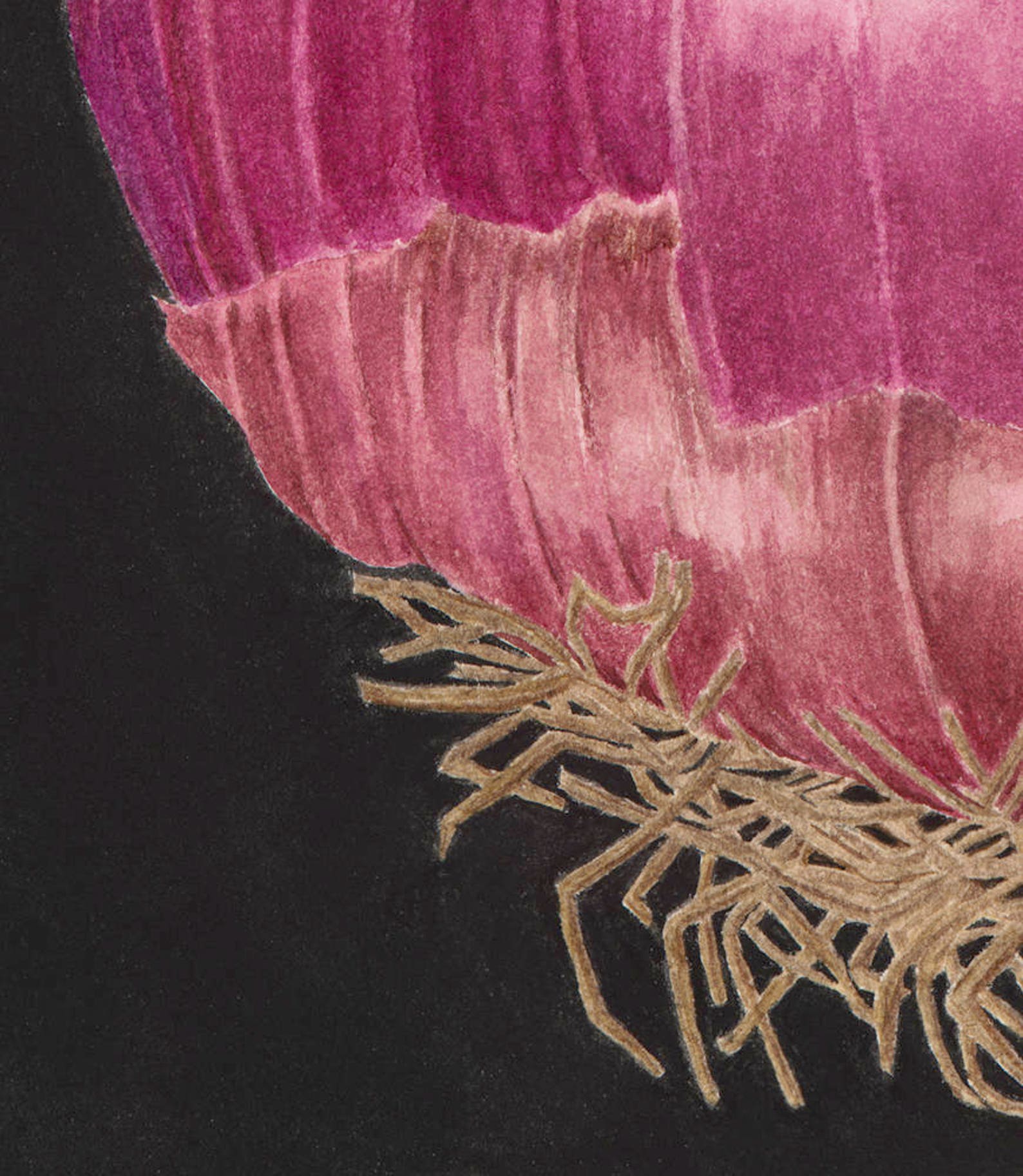 Red Onion Botanical Print Botanical Art Watercolor Painting by Sally ...