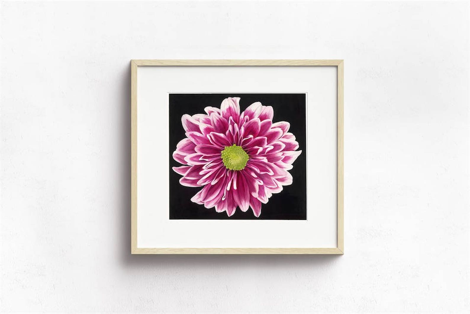 Chrysanthemum Print Contemporary Art Botanical Flower Art Watercolor ...