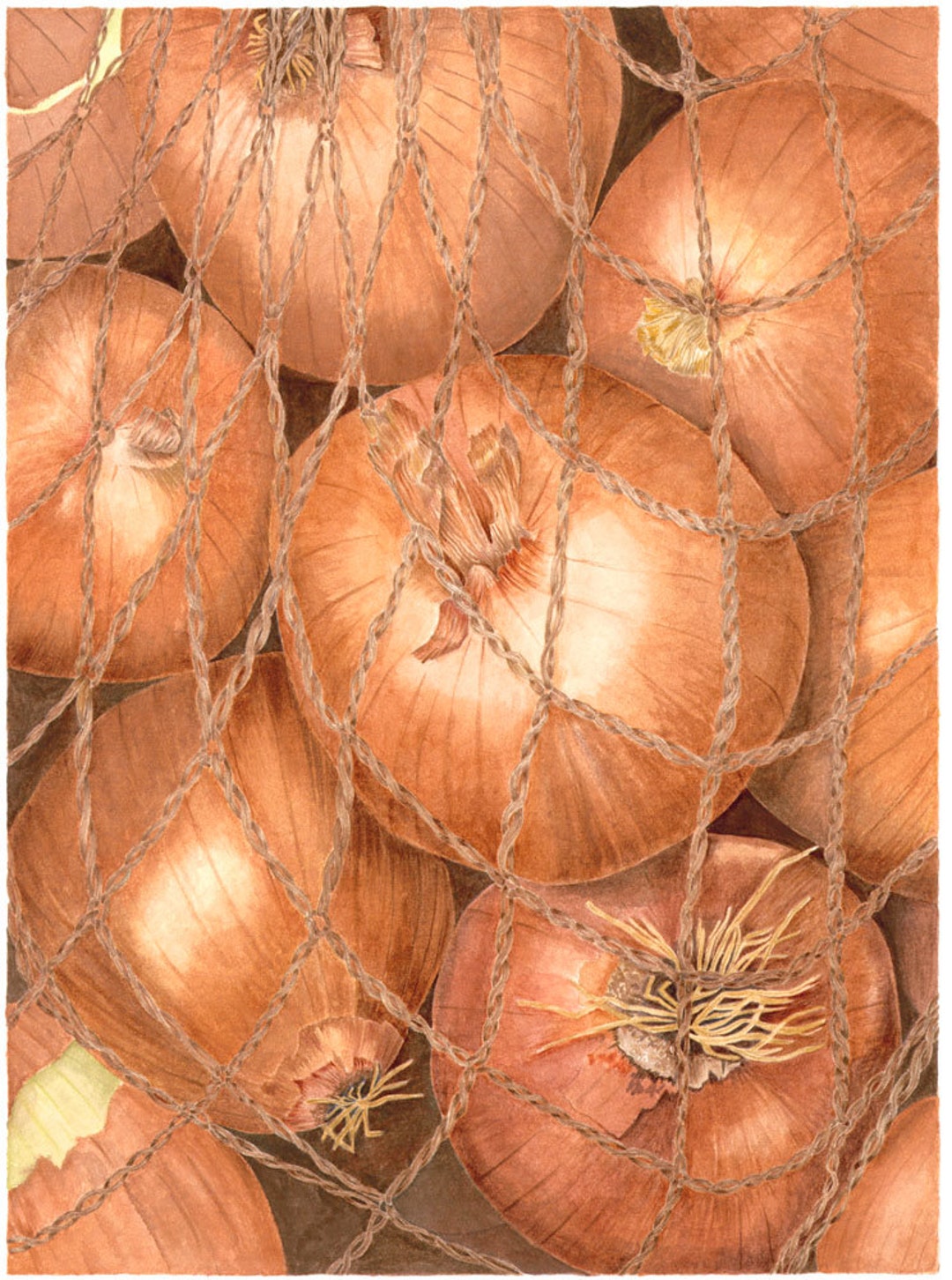 Onions Botanical Vegetable Art Print Basket of Onions Watercolor Fine ...