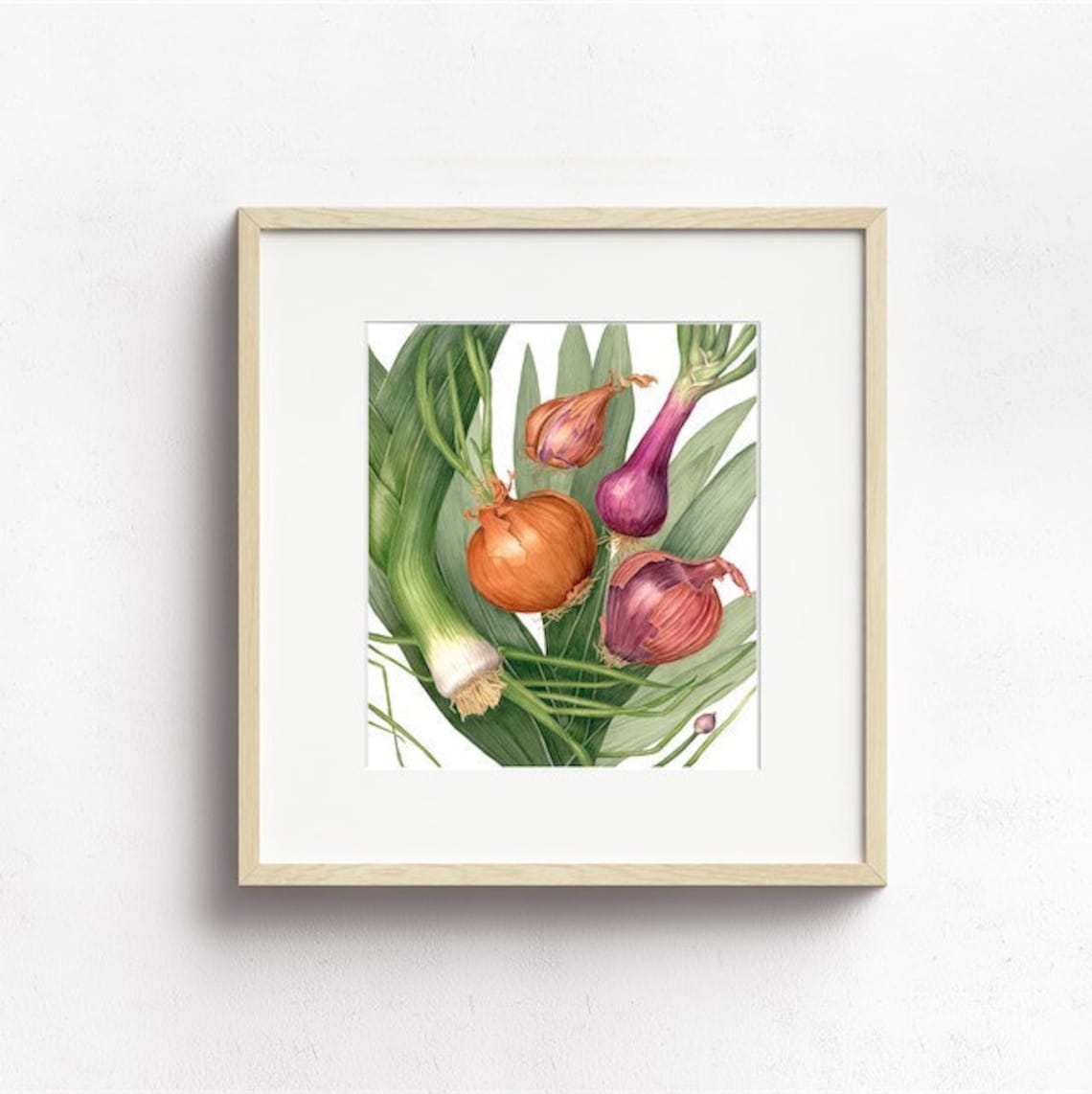 Dancing Onions Botanical Print Botanical Watercolor Painting by Sally ...