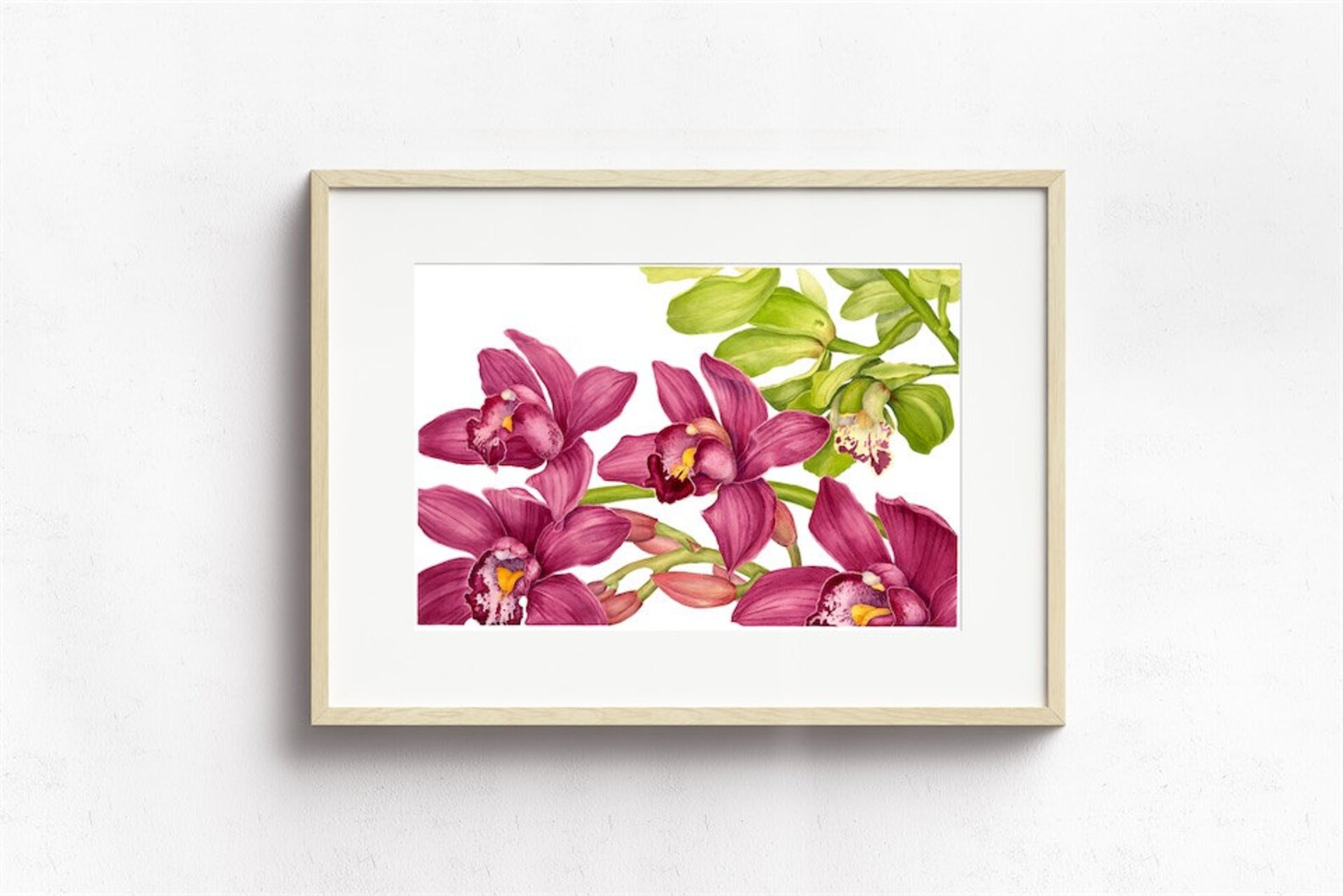 Orchid Botanical Print Watercolor Painting Art by Sally Jacobs ...