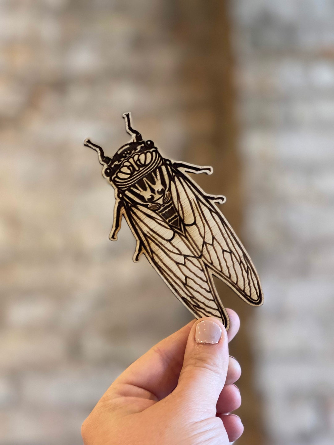 Cicada Double Brood 2024 Season Engraved Wood Magnet Brood XIX XIII ...