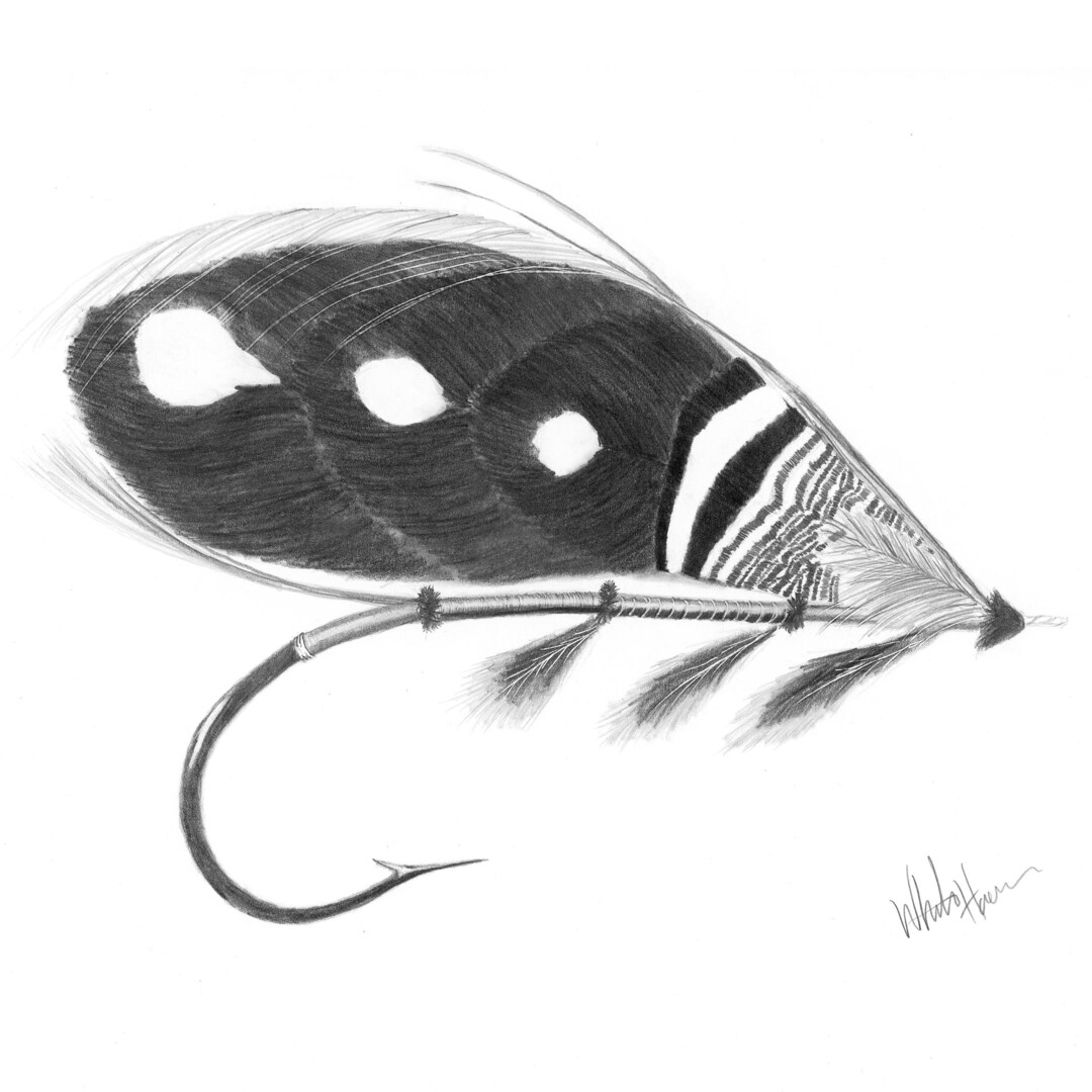 Fly Fishing Art, Black Argus Salmon Fly, Print of Original Pencil ...