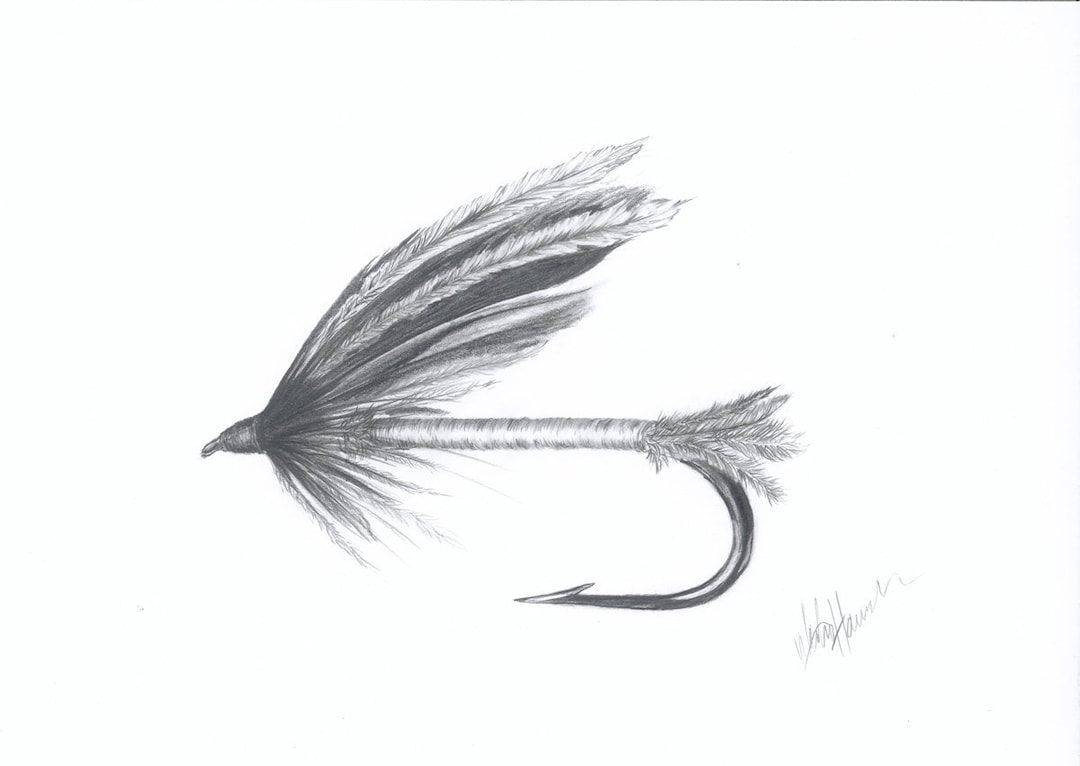Fly Fishing Art, Spruce Fly, Print of Original Pencil Drawing - Etsy