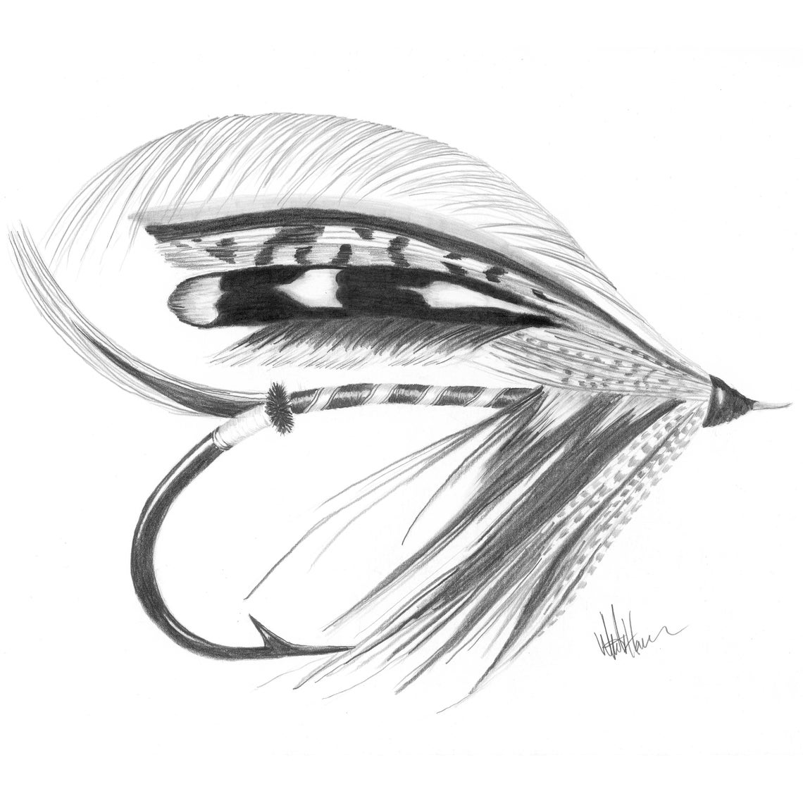 Fly Fishing Art, Black Dog Salmon Fly, Print of Original Pencil Drawing ...
