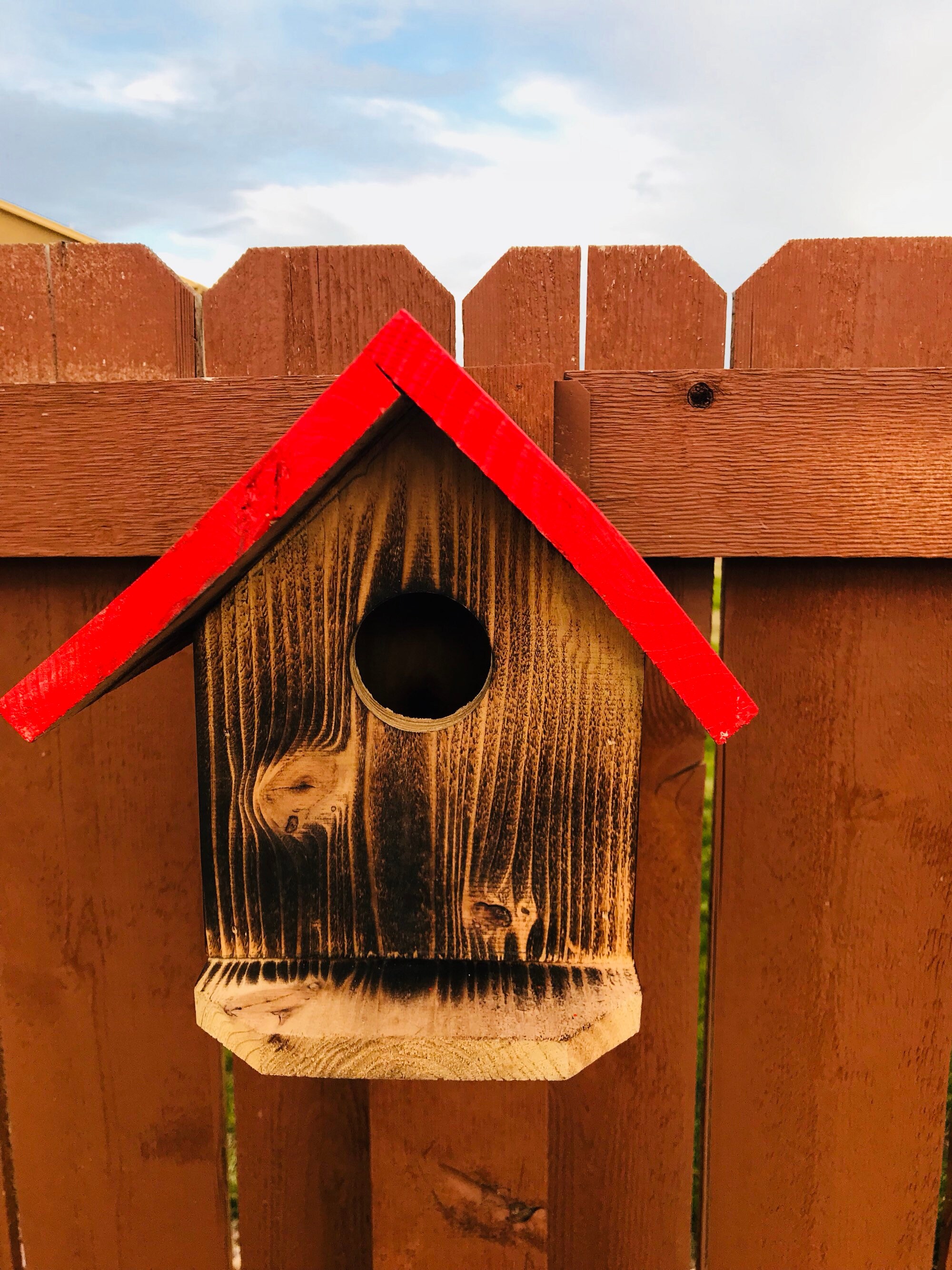 Custom Bird House - Etsy
