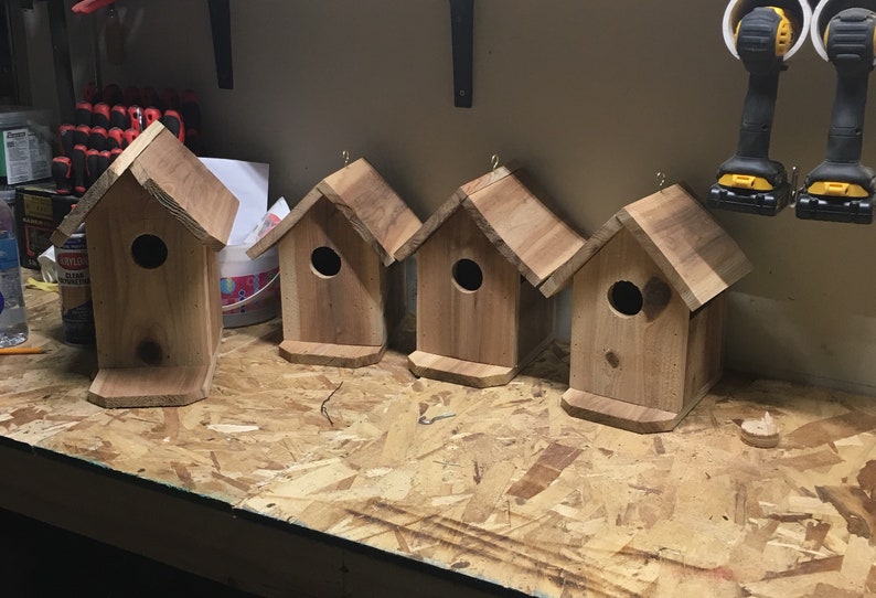 Custom Bird House - Etsy