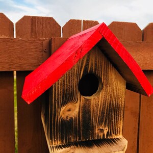 Custom Bird House - Etsy