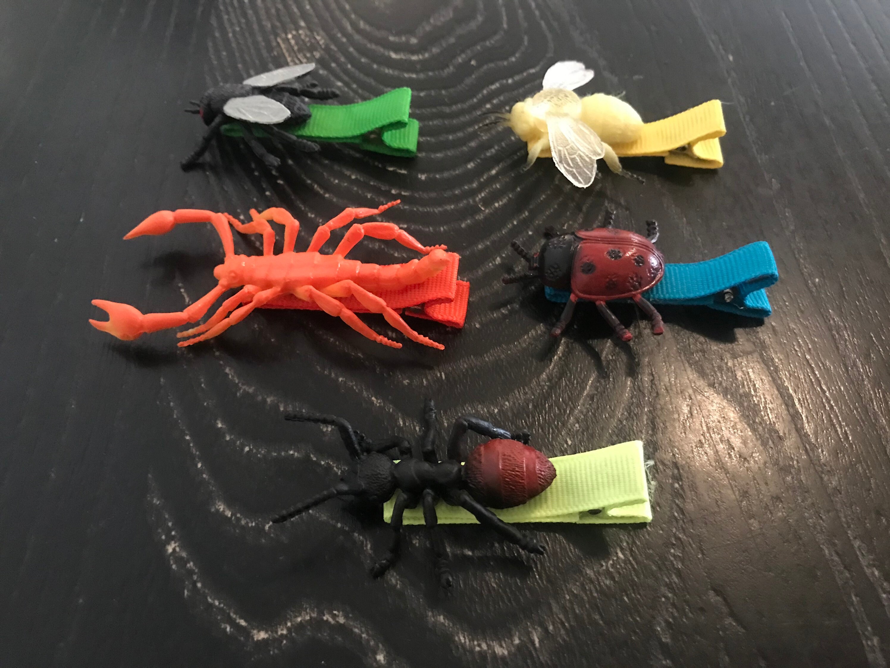 5 BUG Hair Clips in a Bag Insect Barrettes Boys Hair Clips | Etsy