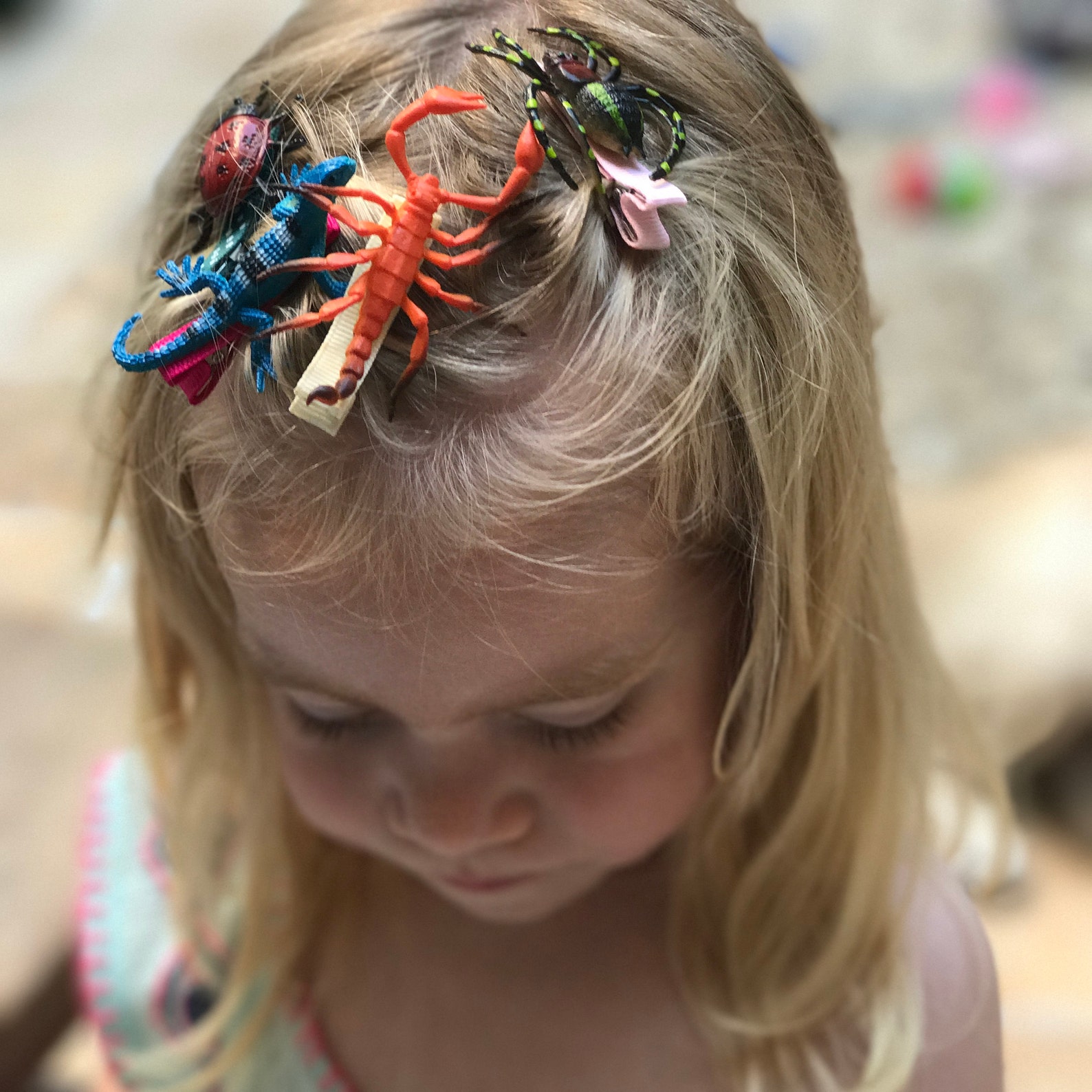 5 BUG Hair Clips in a Bag Insect Barrettes boys Hair Clips - Etsy