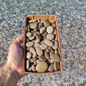 100 Natural,smooth Chunky,olive Green,beach Pebbles.pebbles for Crafts ...