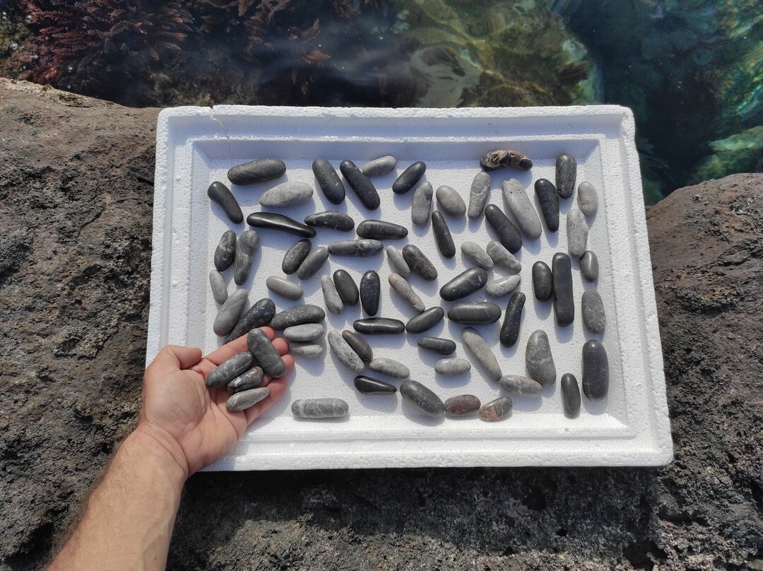 70 Big Elongated,natural, Black and Grey,smooth, Beach Pebbles.rare ...