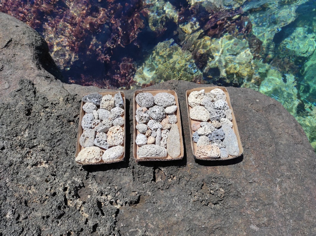 20 Natural,volcanic Beach Rocks for Crafts.aquarium or Fish Tank Beach ...