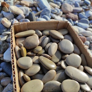 100 Natural,smooth Chunky,olive Green,beach Pebbles.pebbles for Crafts ...