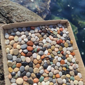 400 Oval and Round, Natural,tiny,colorfull,beach Pebbles.smooth,and ...
