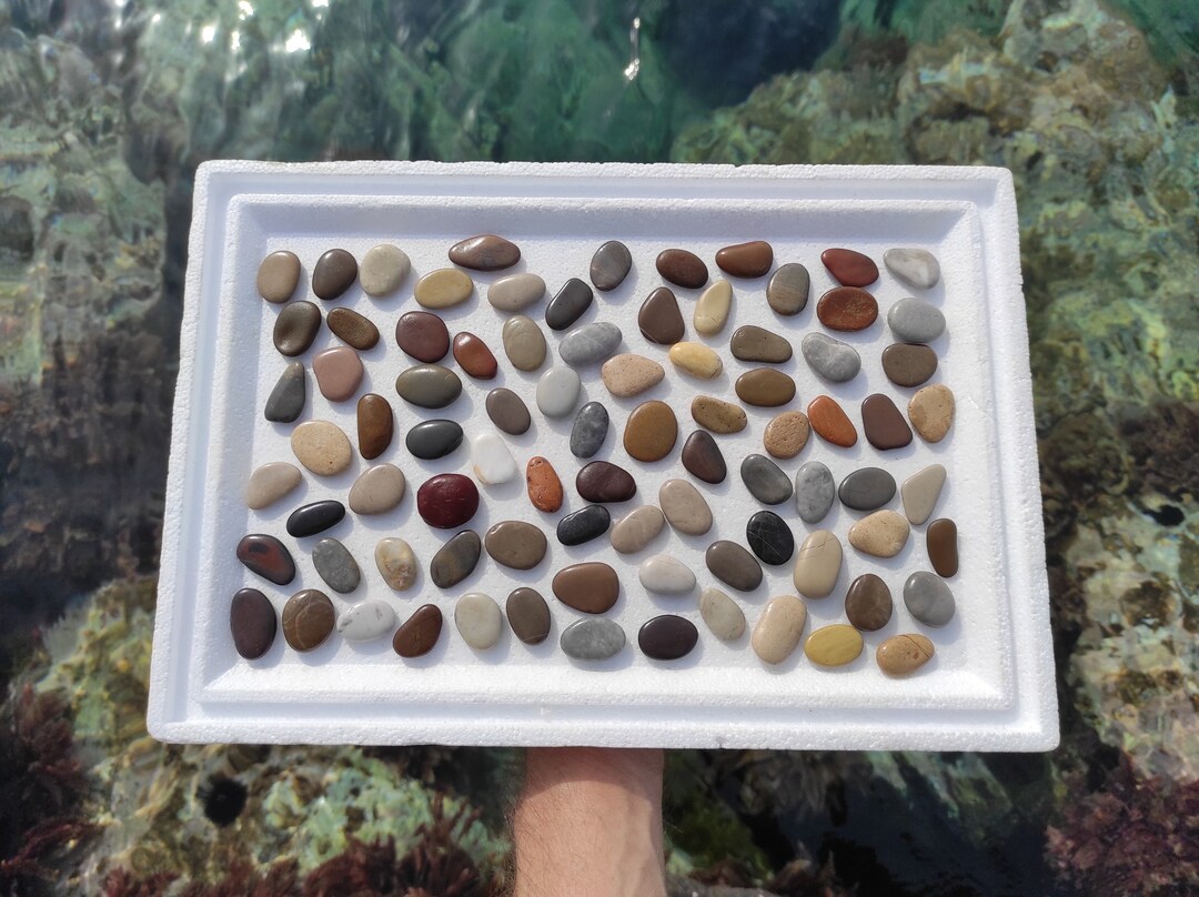 85 Oval,smooth,beach Stones.small,colorfull,beach Pebbles.natural ...