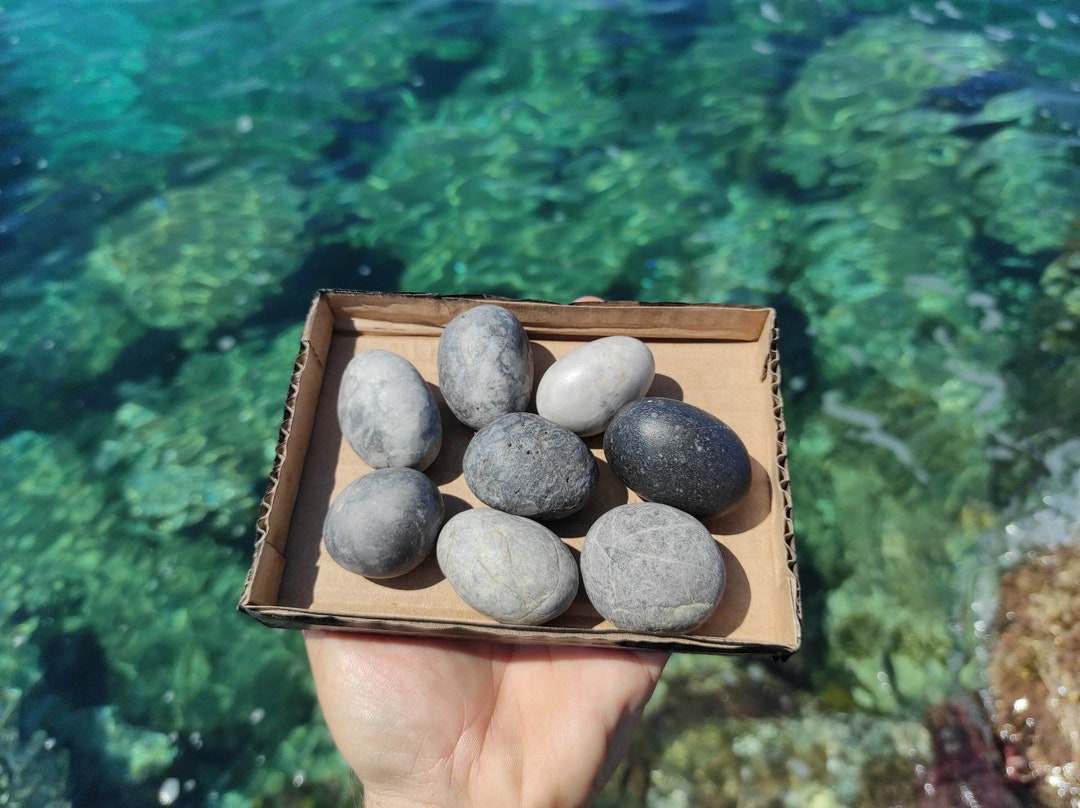 8 Egg Shaped,natural Black and Grey,smooth,beach Pebbles.rare ...