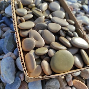 100 Natural,smooth Chunky,olive Green,beach Pebbles.pebbles for Crafts ...