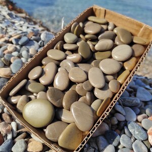 100 Natural,smooth Chunky,olive Green,beach Pebbles.pebbles for Crafts ...