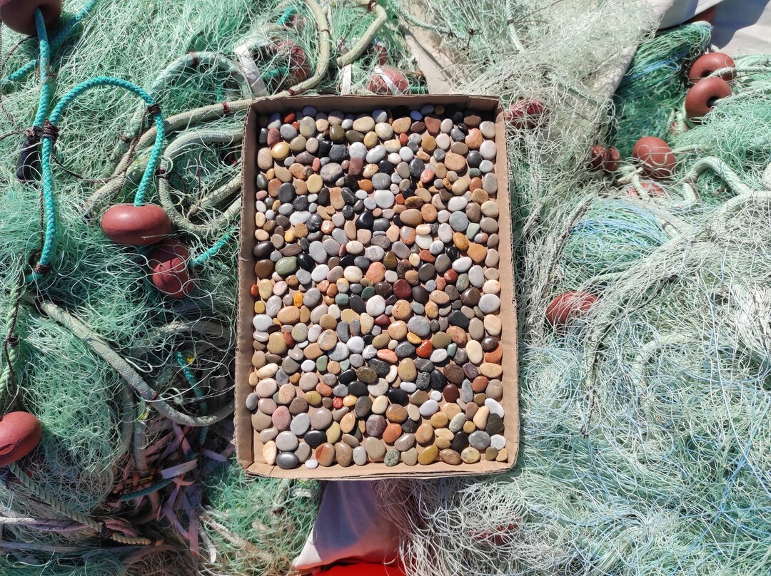 400 Oval and Round, Natural,tiny,colorfull,beach Pebbles.smooth,and ...